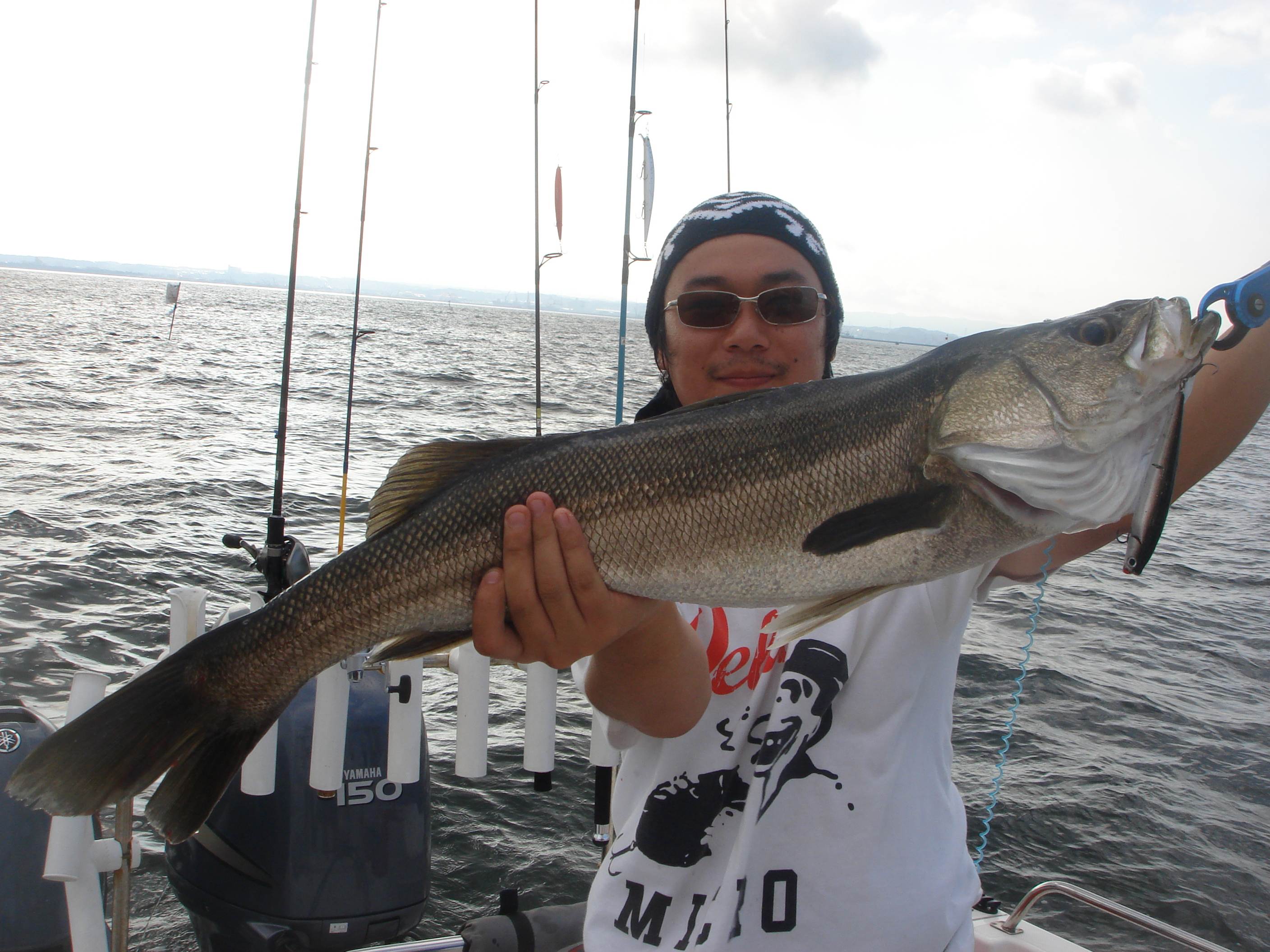 KAZU釣果速報2008