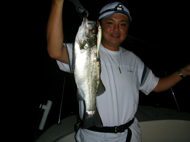 KAZU釣果速報2008
