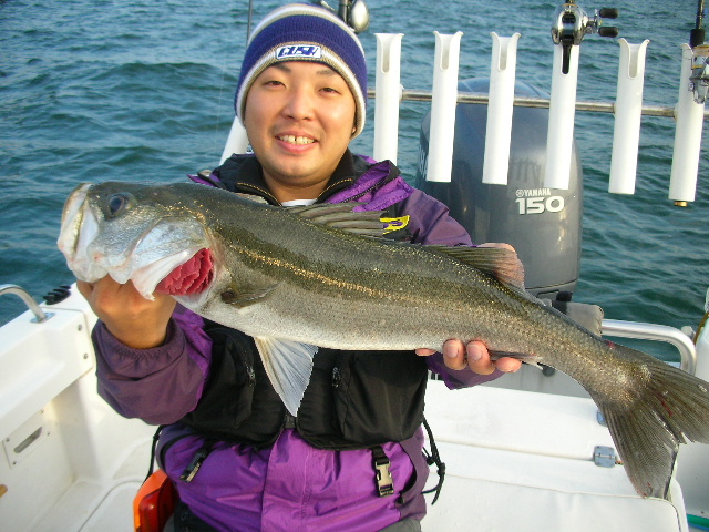 KAZU釣果速報2008