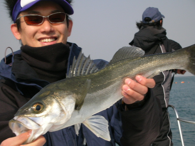 KAZU釣果速報2008