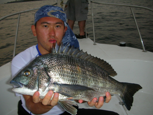 KAZU釣果速報2008