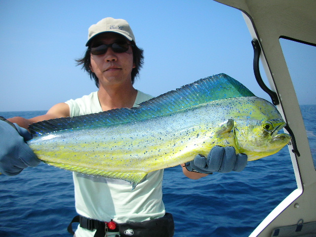 KAZU釣果速報2008